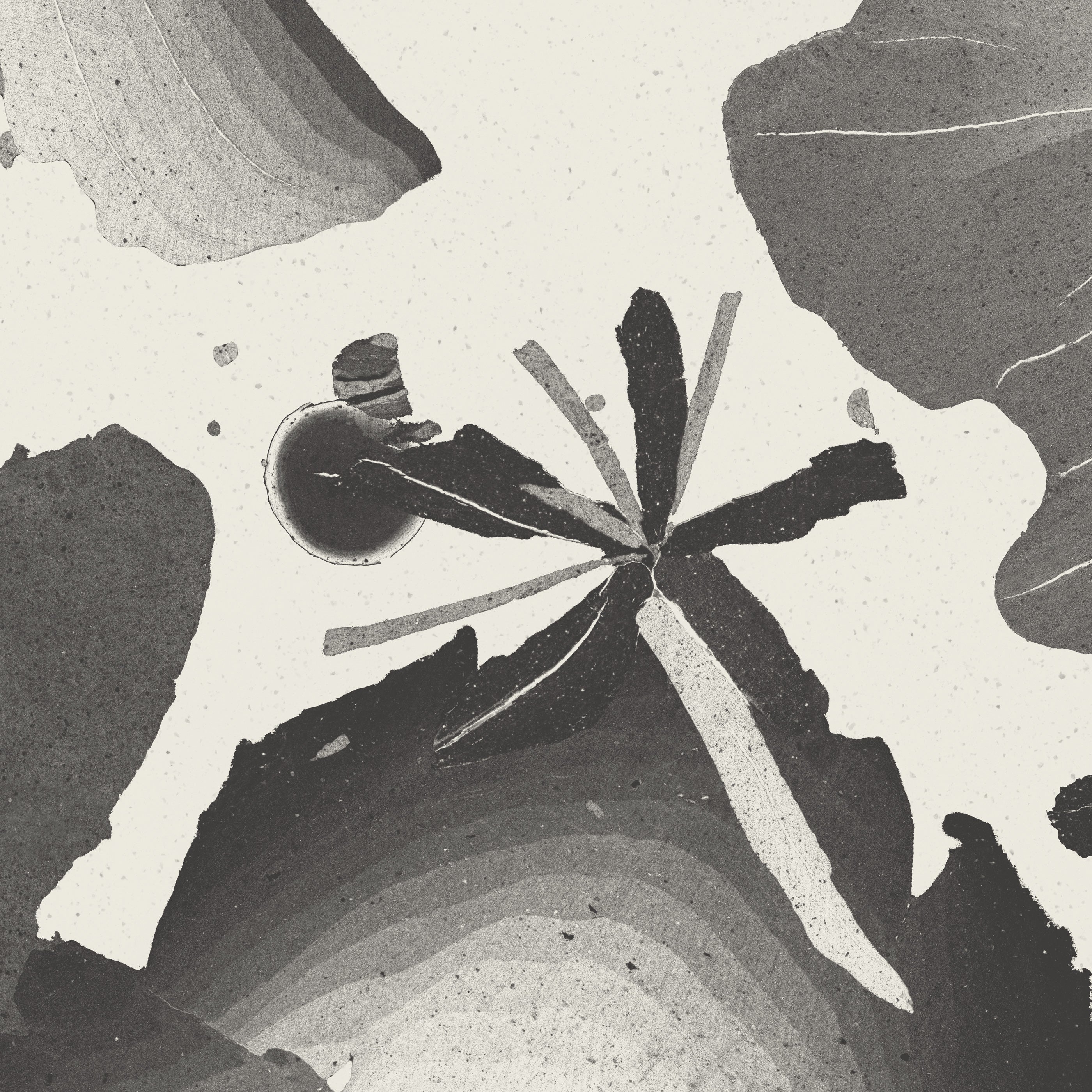 Botanica – Walnut Wallpaper