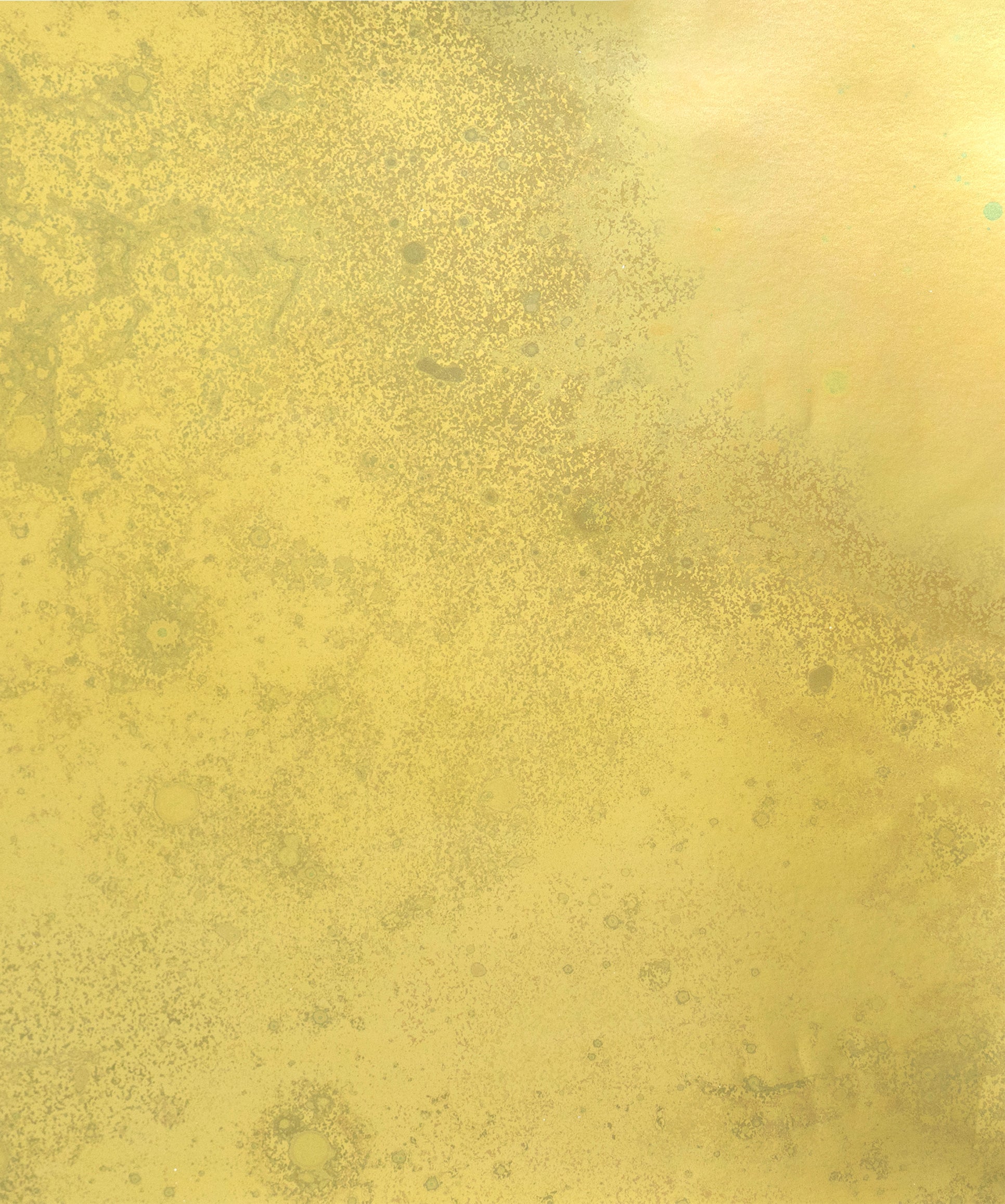 Inverted Spaces – Walnut Wallpaper