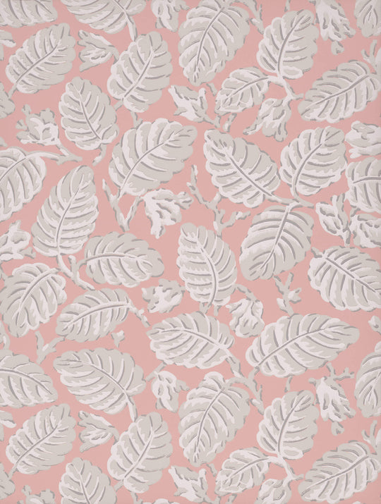 Beech Nut – Walnut Wallpaper