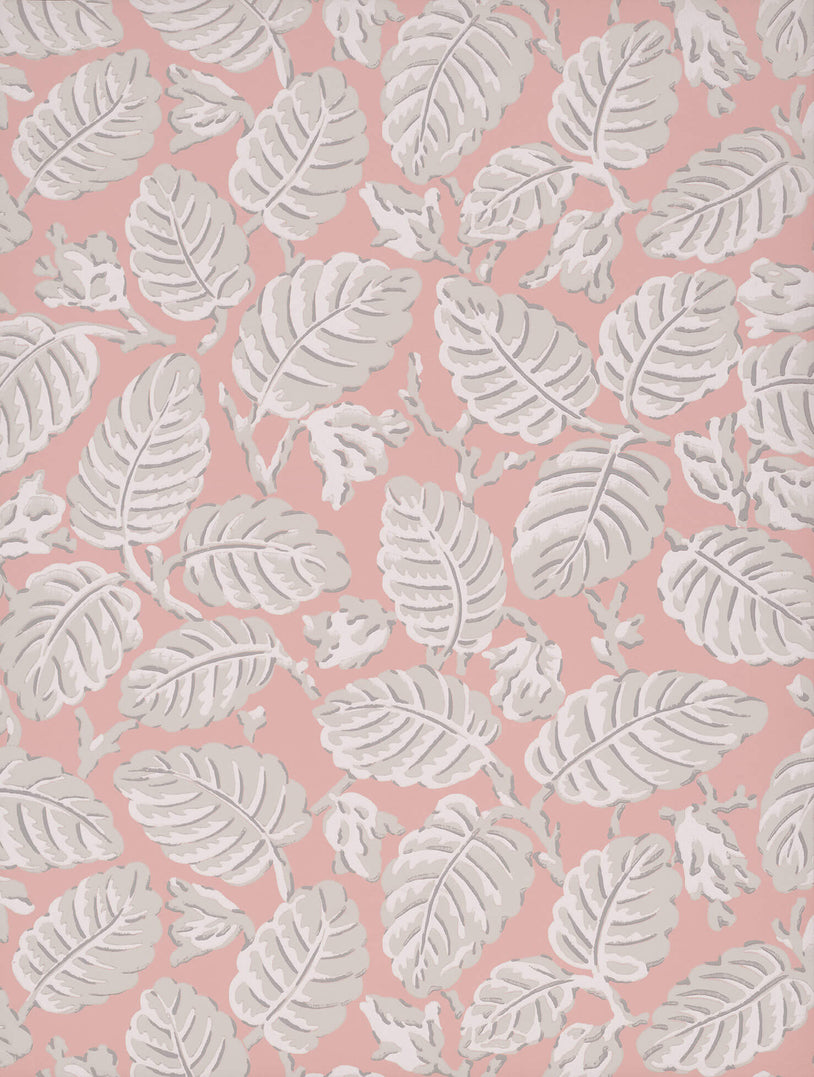 Beech Nut – Walnut Wallpaper