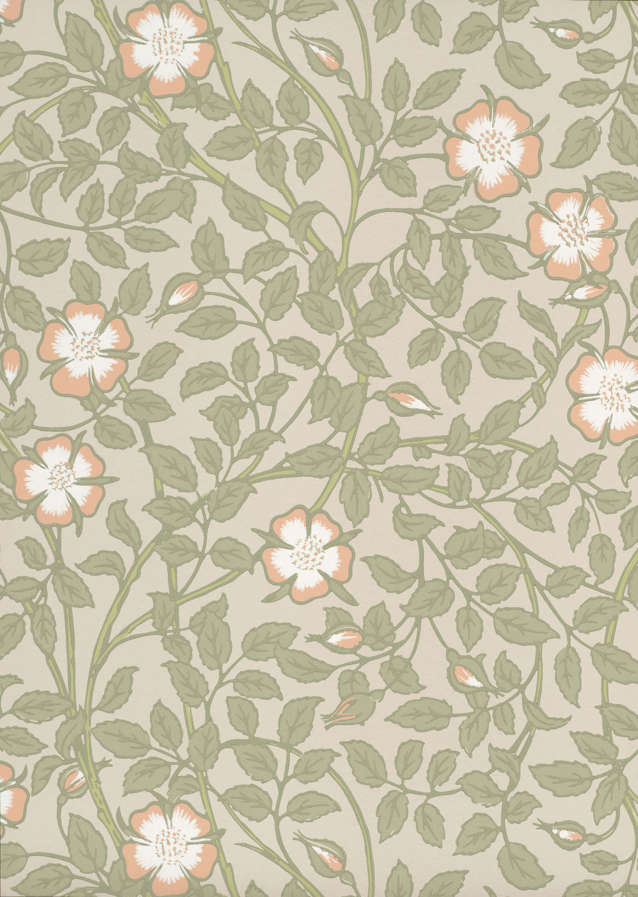 Briar Rose – Walnut Wallpaper