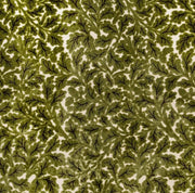 Quercus Velvet Jacquard Fabric – Walnut Wallpaper