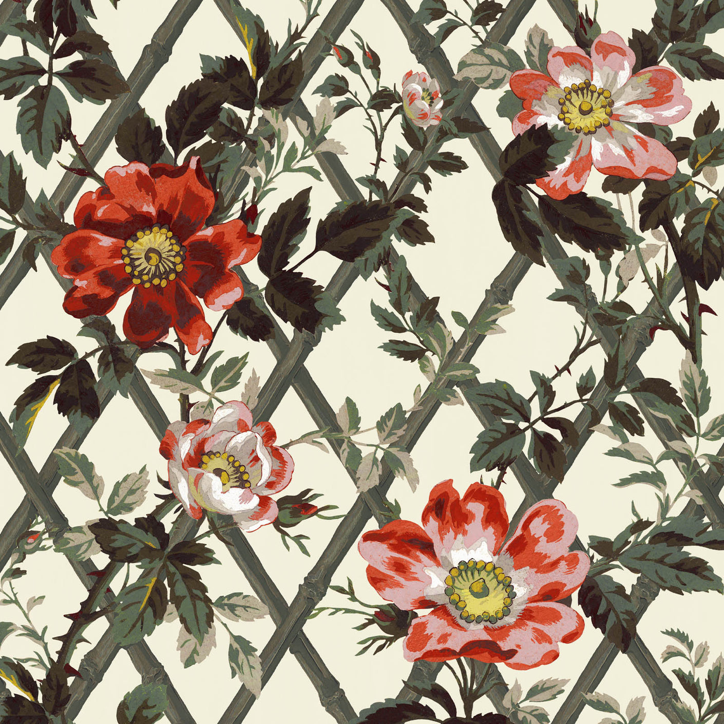 Bryher Rose Trellis – Walnut Wallpaper