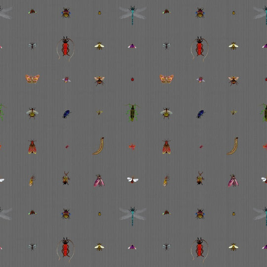 Insect Grid – Walnut Wallpaper