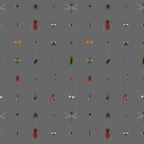 Insect Grid – Walnut Wallpaper