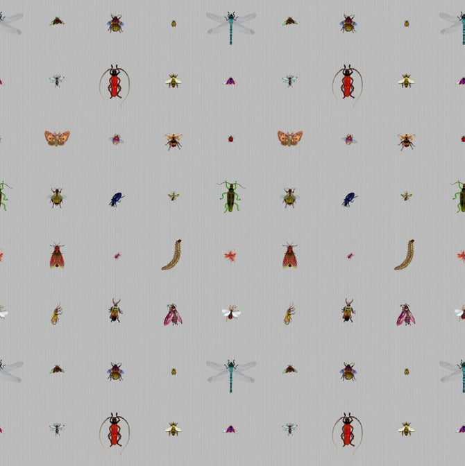 Insect Grid – Walnut Wallpaper